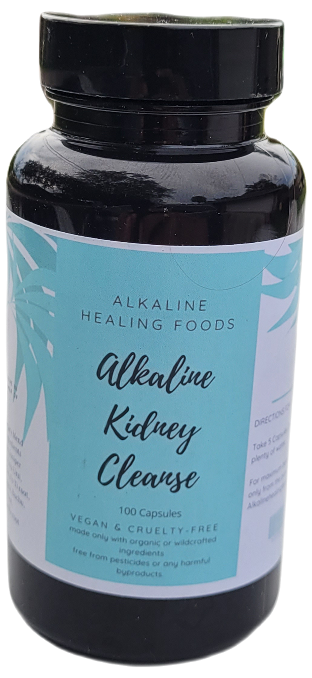 Kidneys Alkaline Health Capsules – Alkaline Healing Foods