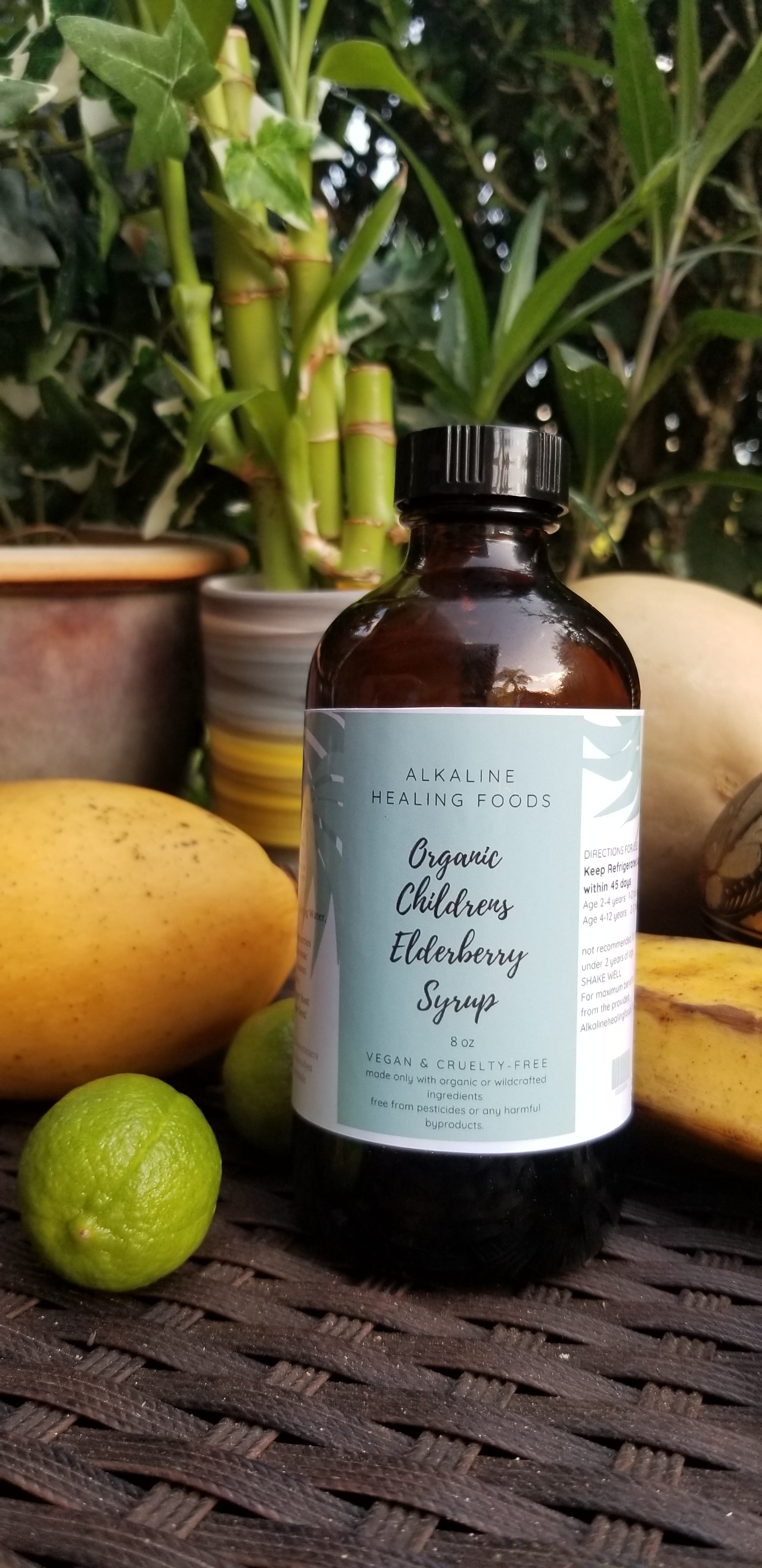 Organic Children's Elderberry Syrup – Alkaline Healing Foods